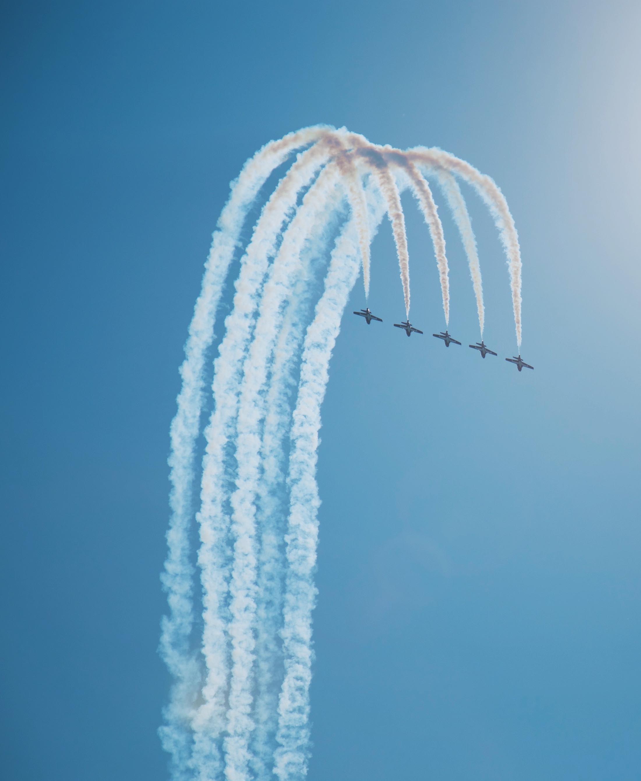 Leigh-Anne Niehaus Portfolio